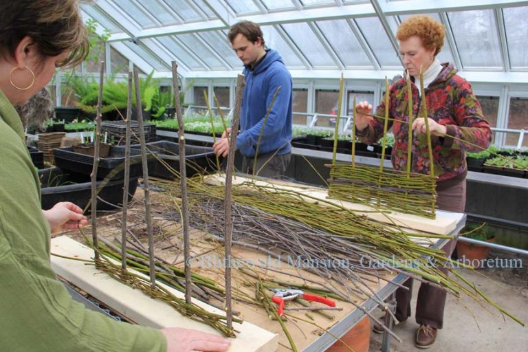 wattling | Blithewold