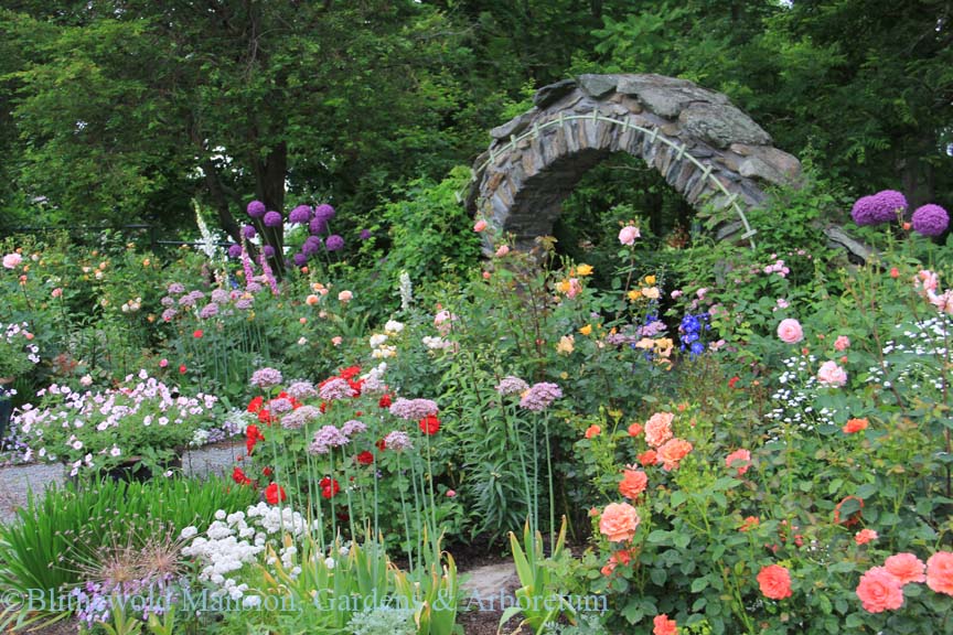 Rose_Garden_Side_View | Blithewold