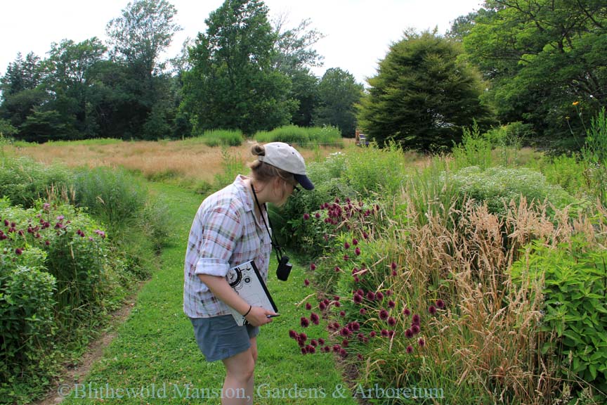 Observing Nature | Blithewold
