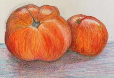 Nature Drawing at Blithewold | Blithewold