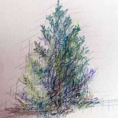 Blithewold | Blithewold. An American Garden Treasure. Come And Be Inspired.