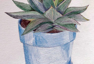 Nature Drawing at Blithewold | Blithewold