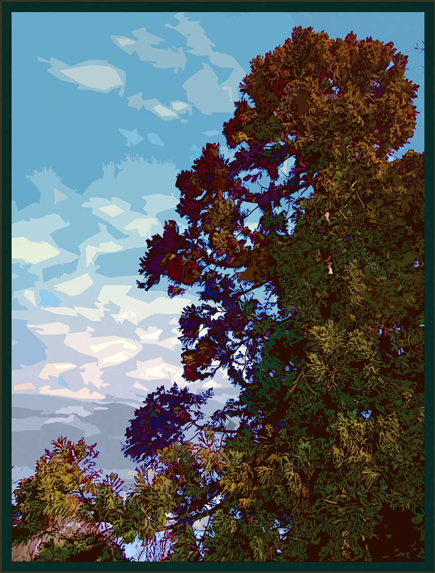 20220601 Grown of Color and Shape by Kevin Mowrer | Blithewold